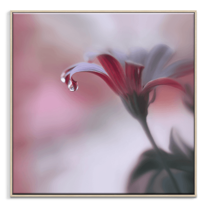 Invisible Touch | Wall Art | Artist Lane