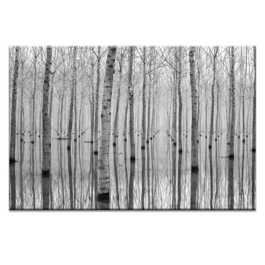 November | Wall Art | Artist Lane