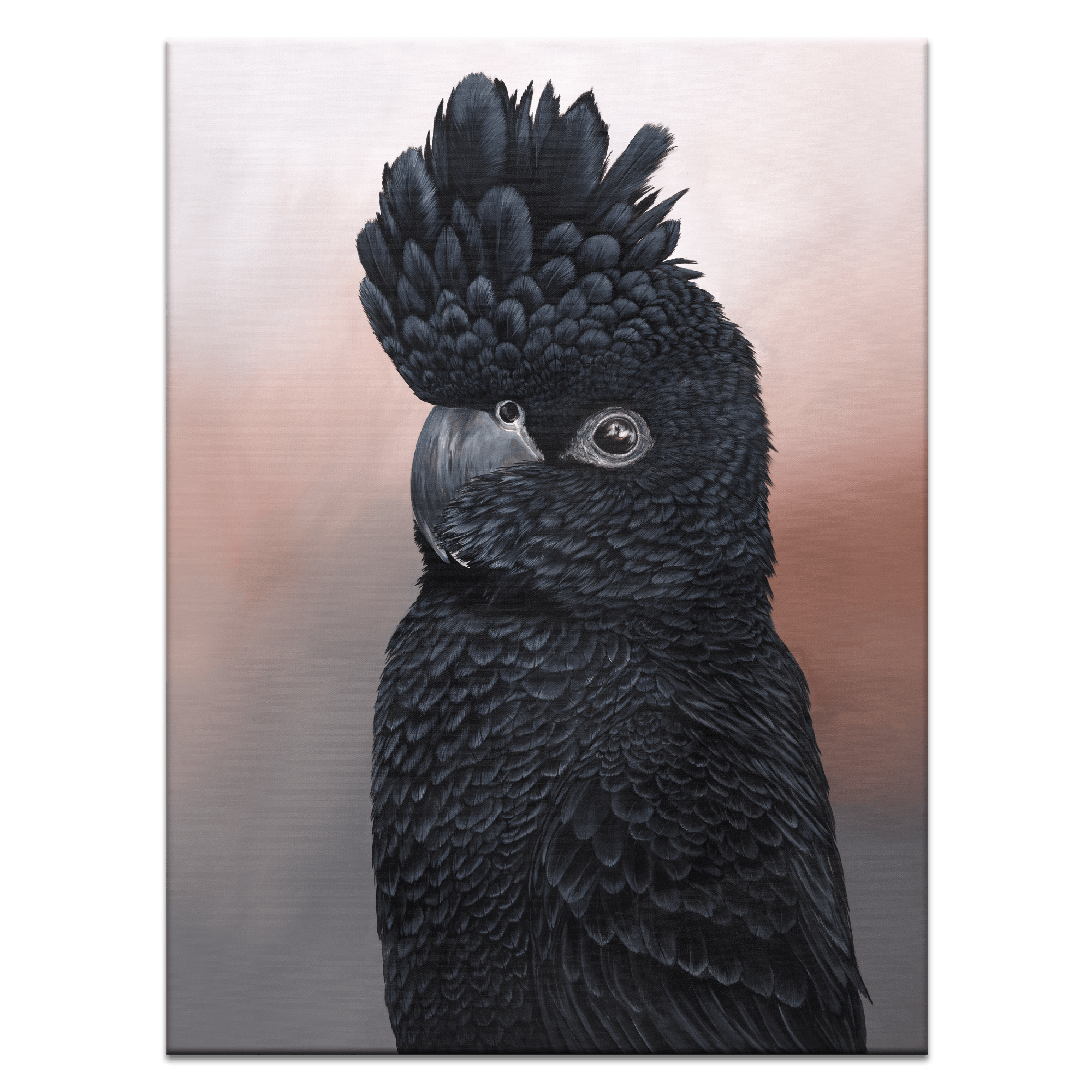 Elvis the Black Cocky | Wall Art | Artist Lane
